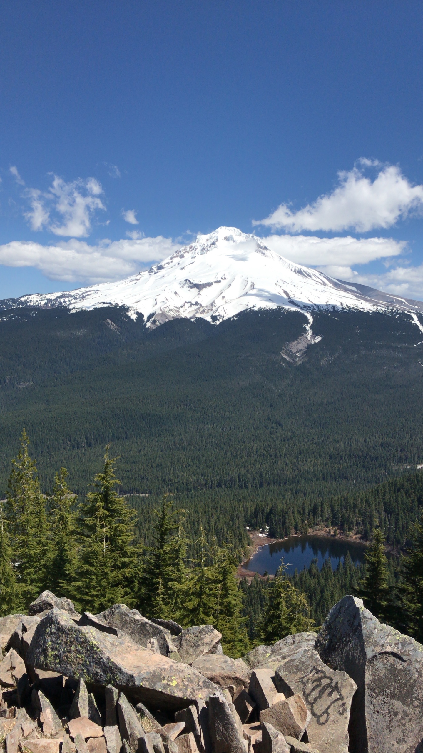 5 Amazing Hikes in Mount Hood National Forest - Just Be A Leaf